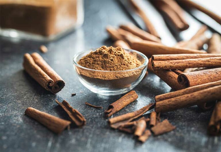 D'où provient la cannelle et quelle est l'espèce d'arbre qui la produit